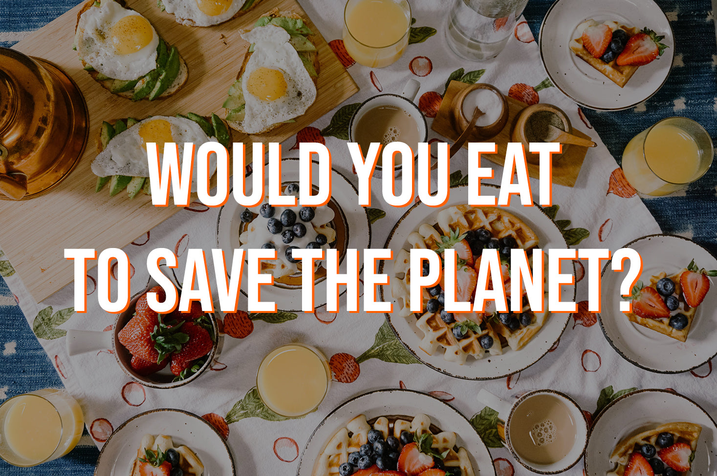 Would You Eat to Save the Planet? – Shroomeats